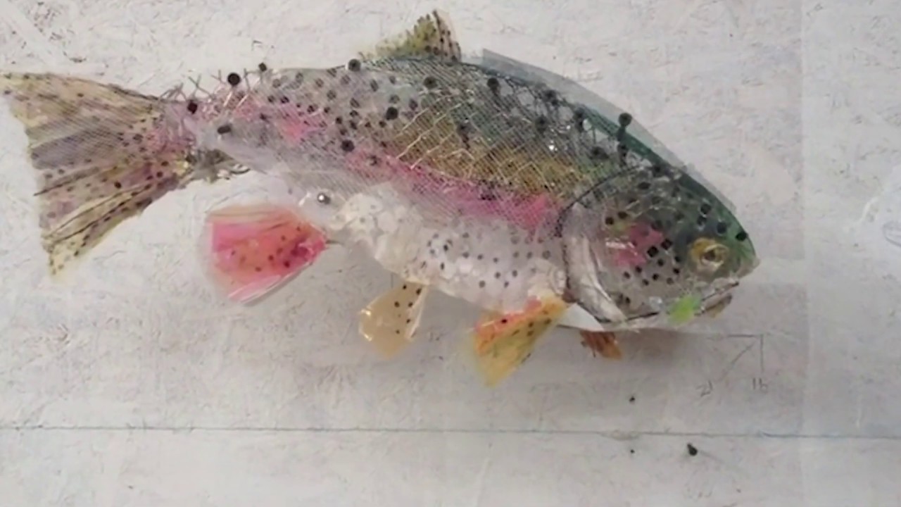 Thomas Deininger Artist - Total Design Reviews